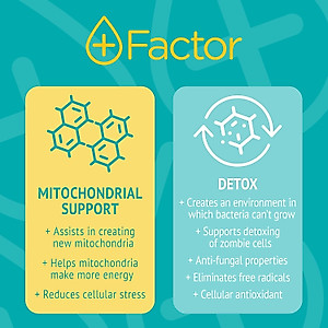 Plus Factor Cellular Boost Complex - 3% USP Grade Methylene Blue & Silver Nano Particles - Improved Focus & Memory - Mitochondria Booster - 30ml