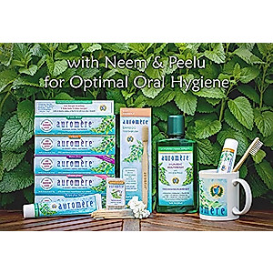 Ayurvedic Herbal Toothpaste in a Jar, Fresh Mint (4.16 oz) (Pack of 1 (4.16 oz))