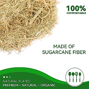 Amozife 100% Compostable 7 Inch Paper Plates, 125 Count Disposable Eco-Friendly Brown Dinner Plates, Biodegradable Heavy Duty Plates for Parties, Weddings, Catering, Events