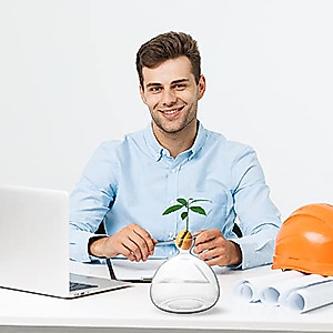 moonoom Avocado Tree Growing Kit,Avocado Seed Starter Vase,Glass Plant Pot with Avocado Stickers,Plant Indoor Grow Gardening Gifts