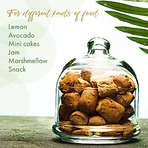 The Buybox Multipurpose Glass Container Avocado, Onion, Tomato, and Lemon Keeper Saver Holder Container, Fruit, Butter Citrus Mini Containers for Fridge, Pepper and Sold Cellar with Lid (Medium)