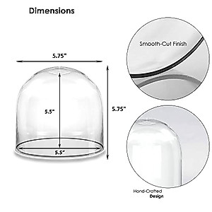 CYS EXCEL Glass Dome Cloche (H:5.75" D:5.75") | Multiple Sizes Decorative Showcase Display for Antique Collectibles | Bell Jar Terrarium & Dessert Cover