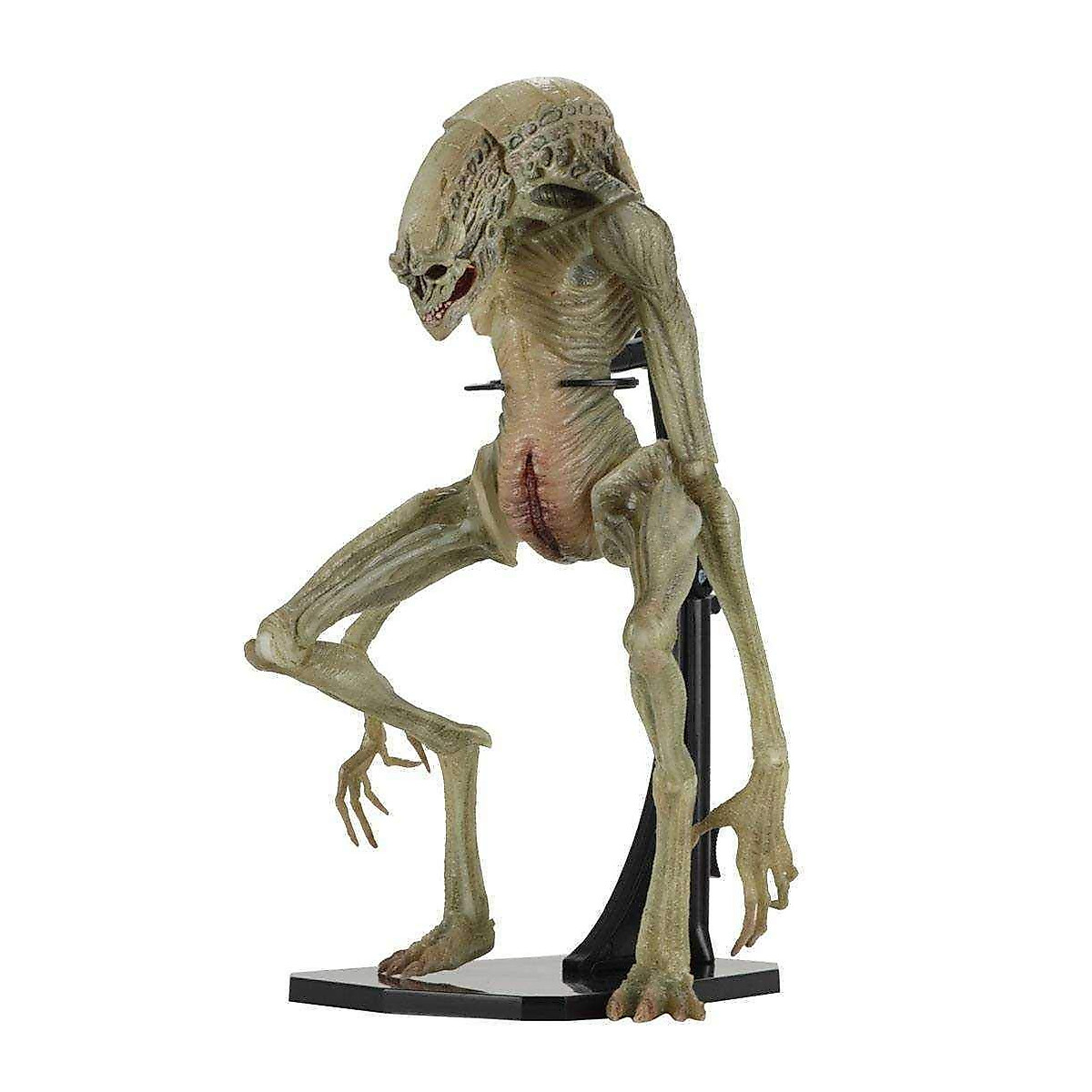 NECAA 51654 Aliens 7" Scale Action Figure Deluxe Alien Resurrection Newborn, Multicolor
