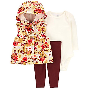 Carter's Baby girls' 3 Piece Little Vest Set, Hooded floral/Yellow/Red, 6m