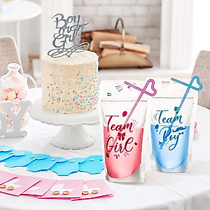 36 Pcs Gender Reveal Drink Pouch Cups with Straws Plastic Stand up Drink Pouch Bags Hand Held Translucent Reclosable Zipper Juice Pouches Team Boy Team Girl Gender Reveal Party, Pink and Blue, 17 oz
