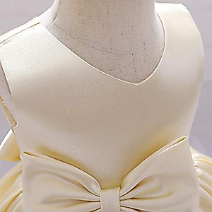 Flower Toddler Baby Girls Dress Formal Bowknot Tutu Backless Ruffle Puffy Tulle Gowns Princess Wedding Communion Christening Baptism Pageant Birthday Lace Party Wear Summer Suit Champagne 5-6X