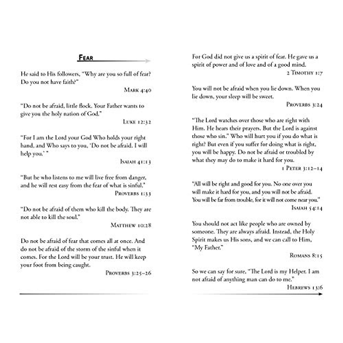 The Bible Promise Book - NLV (New Life Bible)