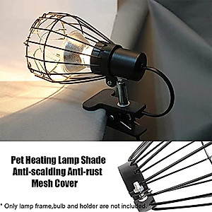 Dehydrator Reptile Heating Lamp Lampshade Guard Anti Scald Lamp Mesh Cover Anti-Rust Metal Wire Cage Protector for Amphibian Snake Lizard Turtle