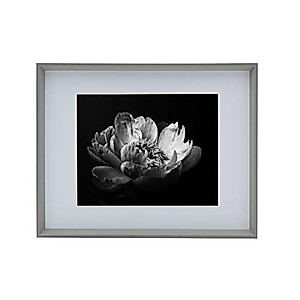 Studio Nova Picture Frame Displays 8 x 10 Photos 11 x 14 Without Mat, 11x14-Matted 8x10, Gray