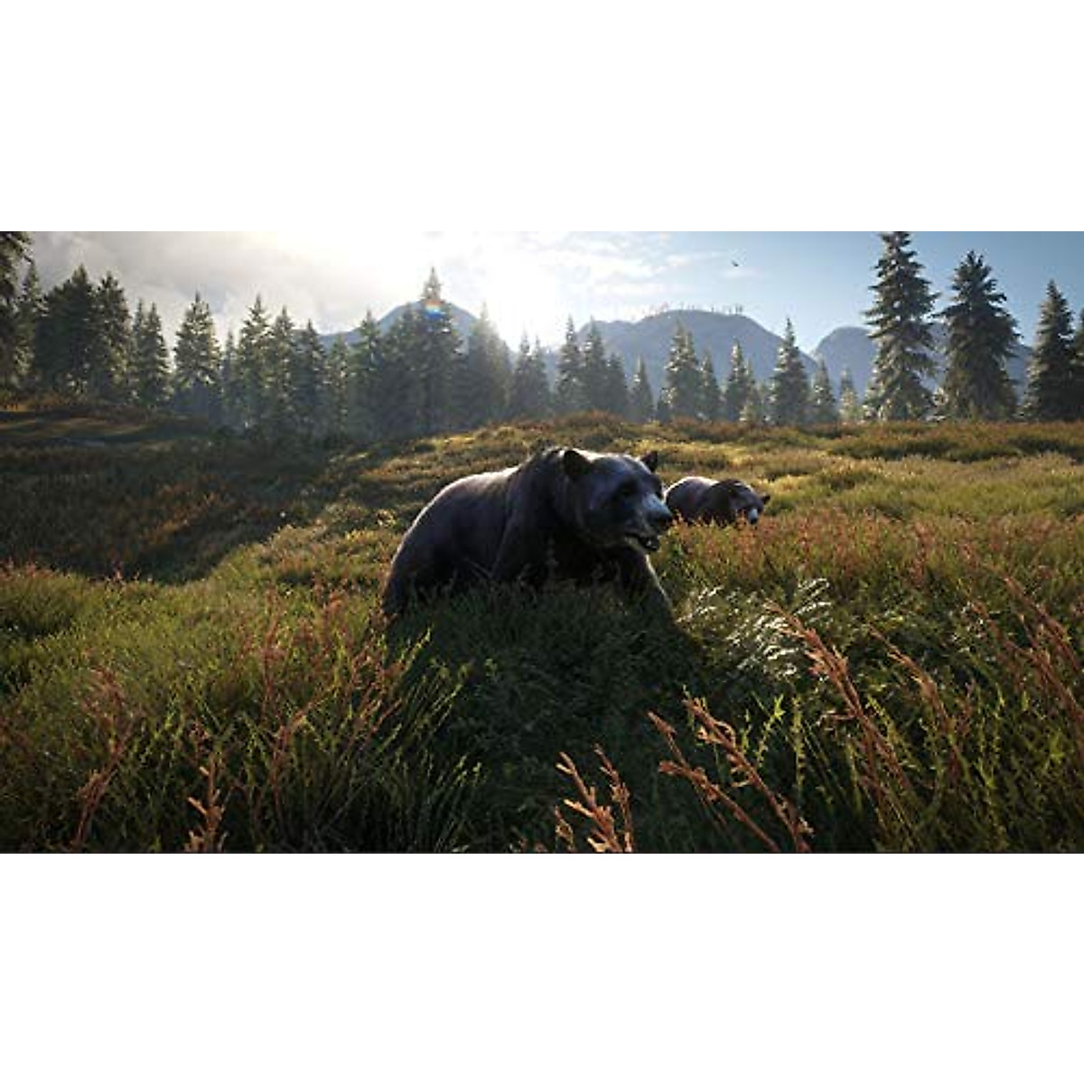 theHunter: Call of the Wild - 2019 Edition - PS4 (PS4)