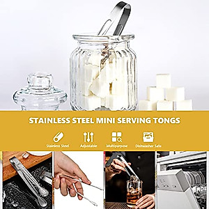 Leaf Coffee Spoons, Mini Serving Tongs and Appetizer Forks Stainless Steel Sugar Cube Tongs Dessert Spoons Metal Dinner Forks for Dessert Coffee Tea (10, Silver)