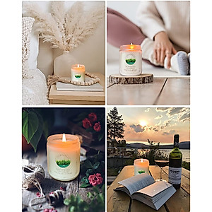 Citronella Candles Outdoor Indoor | Handmade Home Scented Jar Candles Gift Set for Women Men | Soy Wax Candles Aromatherapy Candle for Home Garden Patio Perfect for Christmas Valentine's Day Birthday
