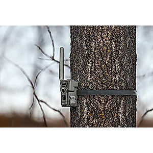 SPYPOINT Flex Dual-Sim Cellular Trail Camera 33MP Photos 1080p Videos with Sound and On-Demand Photo/Video Requests - GPS Enabled with 4 PK Bundles (4 PK Micro Bundle)