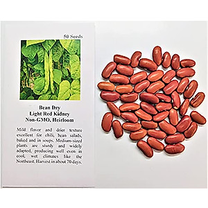 David's Garden Seeds Bean Dry Kidney Red FBA-00061 (Red) 50 Non-GMO, Heirloom Seeds