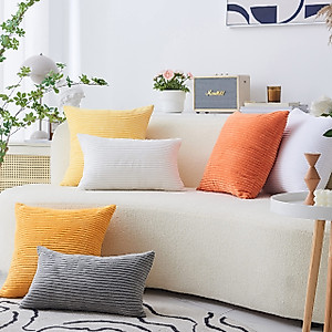 Home Brilliant Burnt Orange Pillow Covers 18x18 Striped Corduroy Throw Pillow Cover Fall Set of 2 Decorative Plush Velvet Cushion Cover for Couch Rust Pillow Covers, 18 x 18 inch, Orange