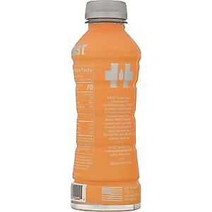 HOIST Premium Military Hydration Electrolyte Drink, Powerful IV-Level Hydration, Clinically Proven Performance Drink, Peach Mango, 16 Fl Oz (Pack of 12)