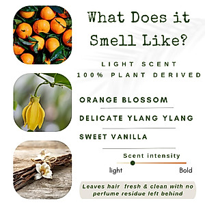 /liv/ Nature Shampoo Bar and Conditioner Set with Travel Case | Volume and Moisture for Dry Hair | Orange, Ylang Ylang, Argan Oil | Made in USA | 2-pk