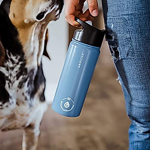 GROSCHE Chicago Steel Infuser Bottle, tea infuser flask, infuser water bottle thermos, Insulated Stainless Steel flask with tea infuser (Blue, 16 fl oz)