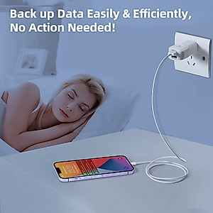 PL ZMPWLQ Auto Backup Adapter 256GB|Photo Stick| Photo & Video Backup Storage| Data Cube for Phone Pictures| Backup Flash Drive| external storage device| transfer photo device| for iPhone/iPad/Android