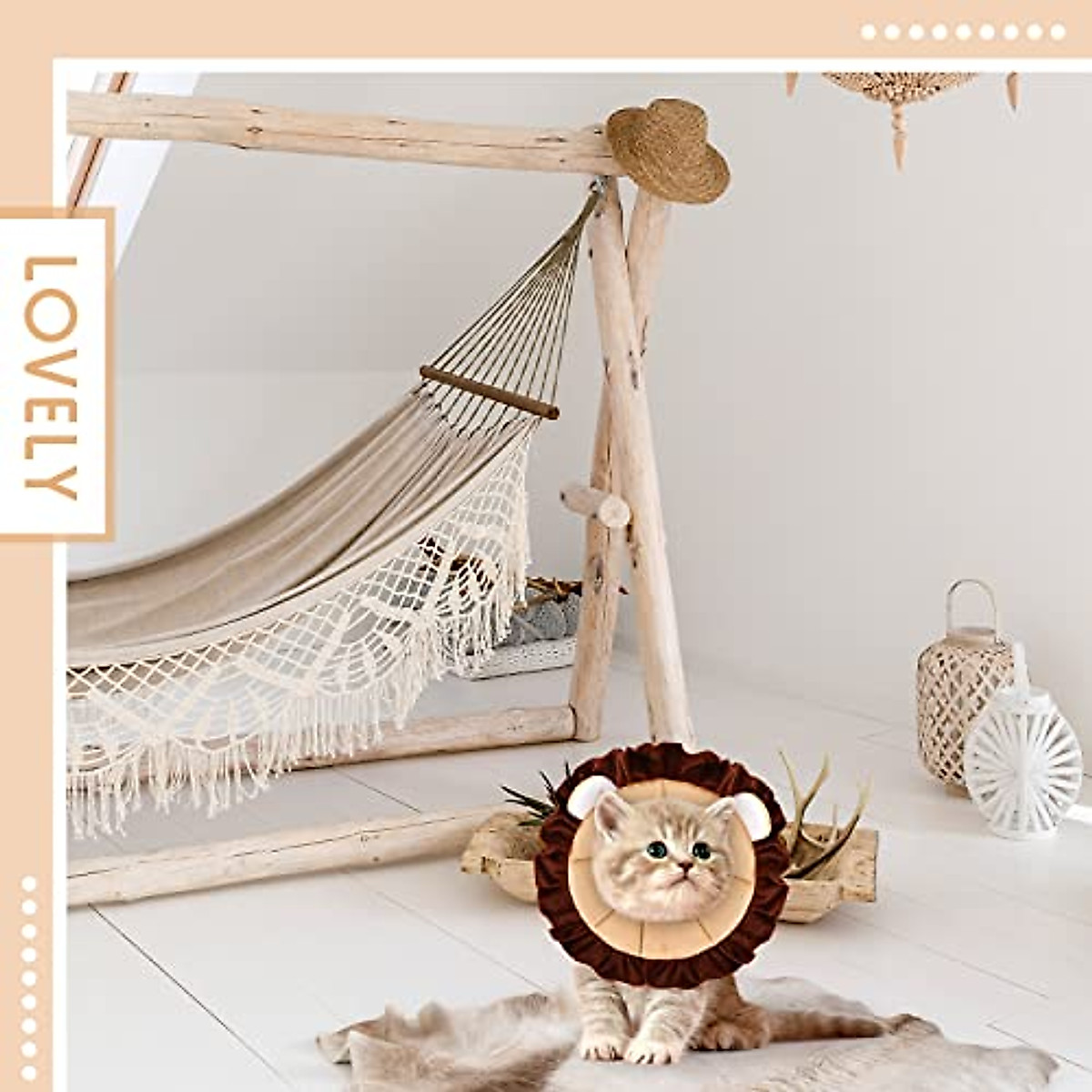 Recovery Collar for Dogs and Cats Pet Cat Cone Cute Funny Soft Cone for Cats Comfortable Dog Neck Cone Lightweight Adjustable Protective Cone for Puppy Cat Kitten Prevent Licking Wounds (Small)