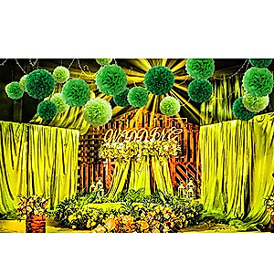 Large Lucky Green Party Decorations, 18pcs Tissue Paper Pom Poms of 14in, 12in, 10in for Birthday Celebration Wedding Party Fiesta St. Patrick's Day Indoor and Outdoor Decorations