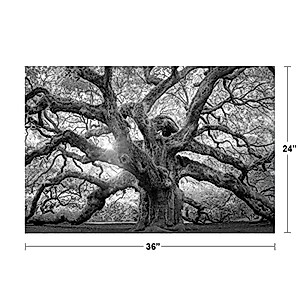 Angel Oak Tree Monochrome Charleston South Carolina Black White Nature Forest Cool Wall Decor Art Print Poster 36x24