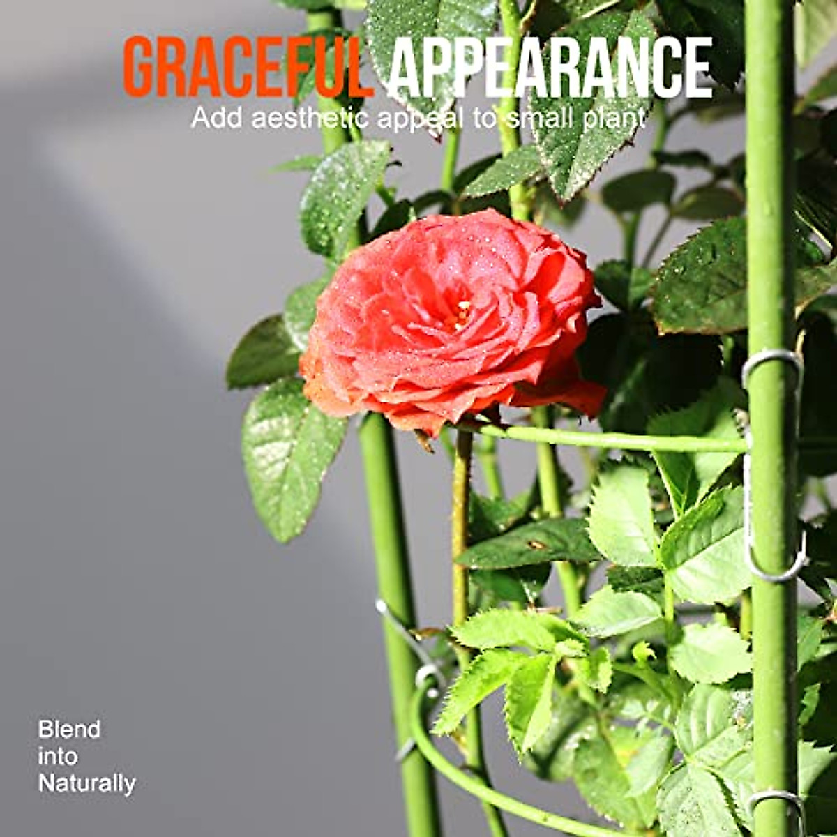 Tomato Cages, LEOBRO 3 Packs Plant Garden Stakes, Small Tomato Plant Support Cages for Garden, Metal Plant Support Trellis for Tomato Peony Flower Climbing Indoor Plants, 17.7" H