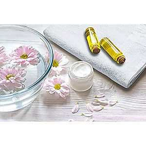 White Hand Towels for Bathroom 24 Pack 16x26 Inch, (Not BleachProof) Cotton Hand Towel Bulk for Gym and Spa, Soft Extra Absorbent Quick Dry Terry Bath Towels