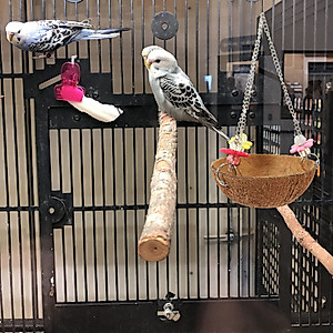 POPETPOP Natural Coconut Shell Bird Nest - Bird Hanging Rocking Nest Parrot Nest Box Coconut Bird Cage Cabin Outdoor Toys for Budgie Cockatiel Lovebird