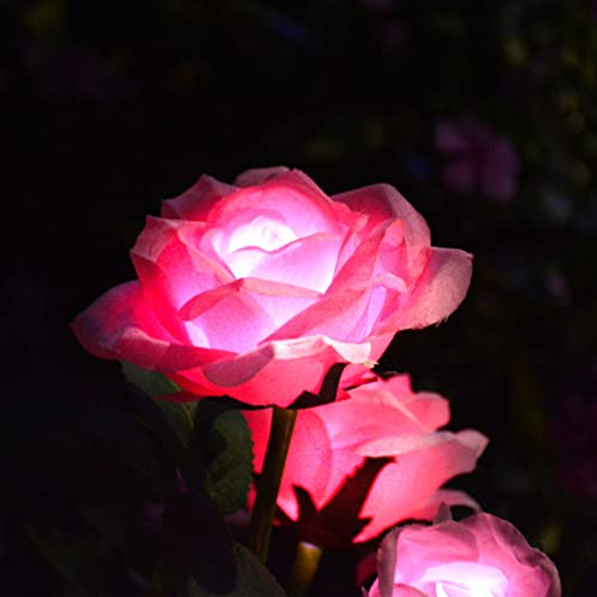 Upgraded 6 Rose Flowers Solar Garden Stake Lights, Outdoor Decorative Solar Flower Lights,Waterproof Solar Flower Stake Lights for Patio Yard Courtyard Pathway Cemetery Graveside (Pink)