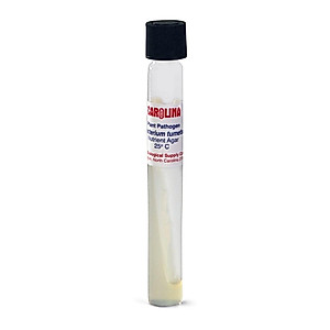 Rhizobium Radiobacter (Agrobacterium Tumefaciens), Living, Tube