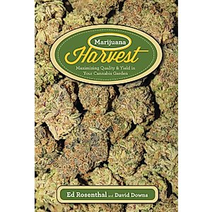 Marijuana Harvest: How to Maximize Quality and Yield in Your Cannabis Garden