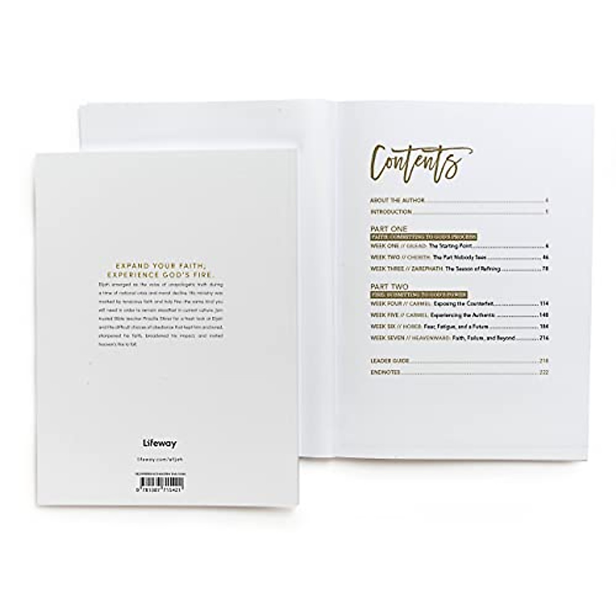 Elijah: Faith and Fire - Bible Study Book