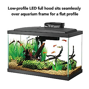 Aqueon Aquarium Fish Tank Starter Kit with LED Lighting 10 Gallon Fish Tank