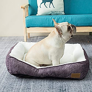 Coohom Rectangle Washable Dog Bed,Warming Comfortable Square Pet Bed Simple Design Style,Durable Dog Crate Bed for Medium Large Dogs (25 INCH, Purple)