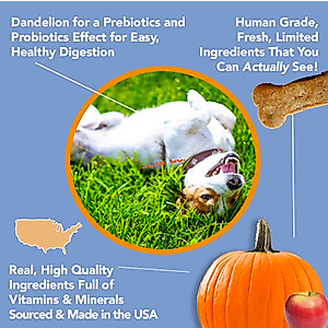 Marcy's Pet Kitchen- All Natural, Crunchy, Pumpkin Biscuit Dog Treats - Homemade - Crunchy Approved- Vegan, Gluten Free, Human Grade Ingredients, Made in The USA, Healthy Pumpkin Dog Treats