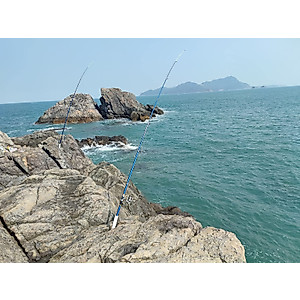 ZYLPYQ Fishing Rod Holders for Bank Fishing,Bank Fishing Rod Rack Stand,Fishing Pole Holders Ground, with Copper Fishing Rod Alarm Bell (2 Set)