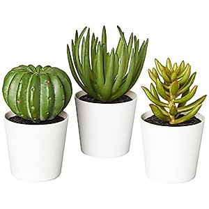 Amazon Basics Artificial Mini Succulent Fake Indoor Plants with Plastic Planter Pots, 3 Pack