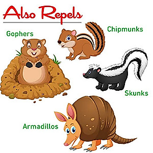 I Must Garden Mole & Vole Repellent: Professional Strength – Twice The Coverage – All Natural Ingredients - Pleasant Scent - 10lb