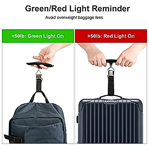 BROMECH Digital Luggage Scale, 110lbs Hanging Baggage Scale, Portable Suitcase Weighing Scale Stainless Steel, Travel Luggage Weight Scale with Hook, Strong Straps for Travelers, Battery Incl., Silver