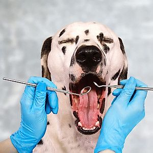 5 Pcs Dog Dental Tooth Scaler and Scraper Set with PU Carry Case, Including 2 Double-Headed Tartar Remover,1 Tooth Scraper, 1 Tweezers and 1 Mouth Mirror, Pet Teeth Cleaning Tools for Dog and Cat