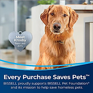 Bissell SteamShot Hard Surface Steam Cleaner with Natural Sanitization, Multi-Surface Tools Included to Remove Dirt, Grime, Grease, and More, 39N7V