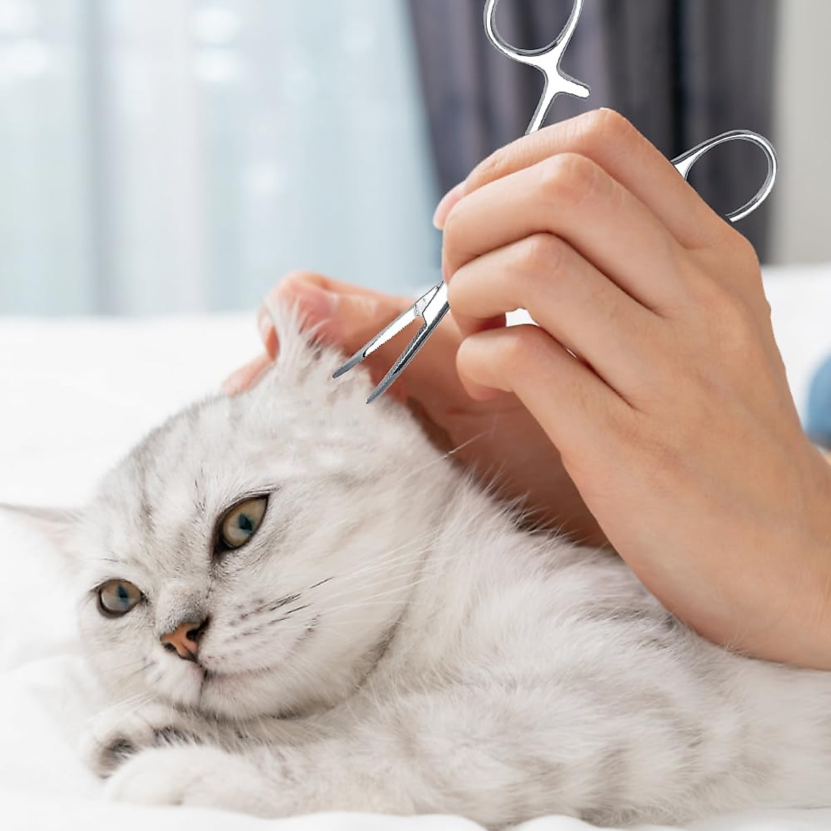 Dog Ear Hair Removal Tool, Dog Ear Plucking Tool Dog Ear Hair Remover Pets Ears Nose Hair Puller Stainless Steel Grooming Cleaning Clamp with Curved Tip Tweezers for Pet Cat Trimmer Accessories(small)