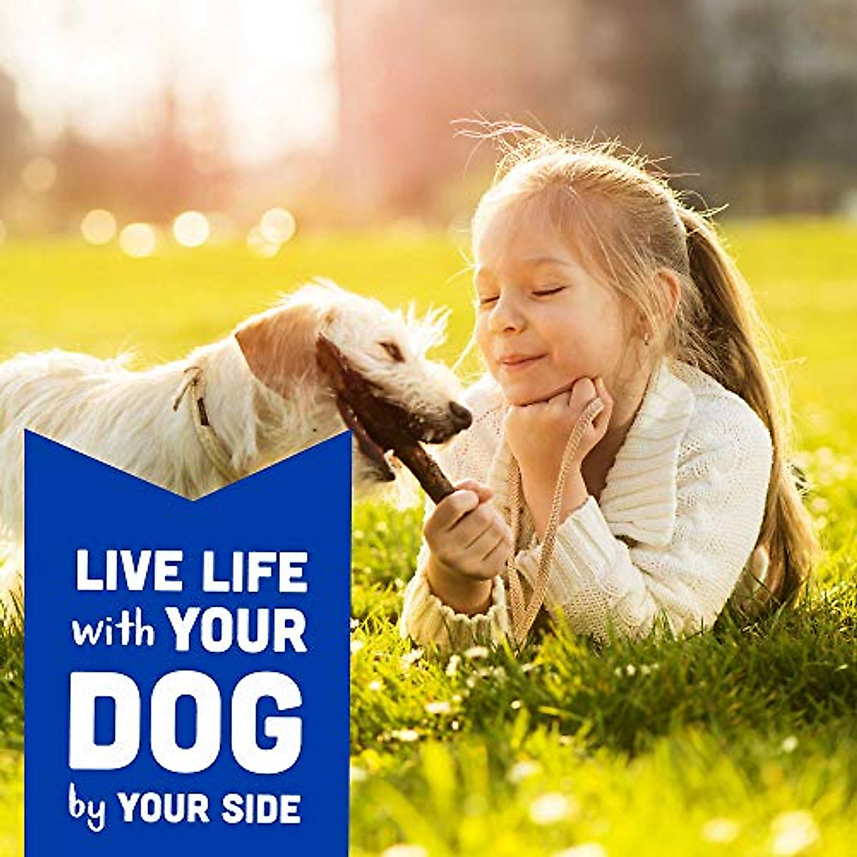 Cloud Star WagCloud Star Wag More Bark Less Original Soft & Chewy Dog Treats, Corn & Soy Free, Baked in USA More Bark Less Original Soft & Chewy Dog Treats, 6oz