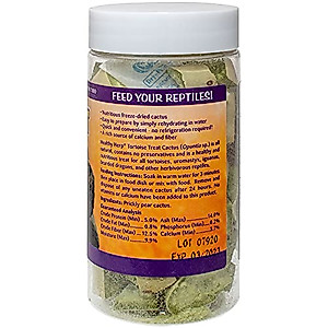 Healthy Herp Tortoise Treat Cactus 0.25-Ounce (7.1 Grams) Jar