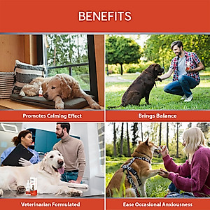 Aspen Green USDA Certified Organic Hemp Oil for Dogs & Cats - Helps with Calming and Mobility - Dog Hemp Oil Drops May Support Occasional Dog & Cat Anxiety Relief (Bacon Flavored, for Large Pets)