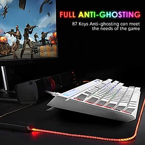 ZIYOU LANG Mechanical Gaming Keyboard,Chroma RGB 18 Kinds LED Backlit Keyboard with Wired Type C,87 Keys Anti-ghosting,Blue Switch and 4 Low Profile Switch Scroll Wheel for PC Gamers