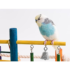 Penn-Plax Bird Life Wooden Playpen – Perfect for Parakeets, Lovebirds, and Parrotlets – Small
