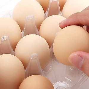 JAPCHET 100 Pack Plastic Egg Cartons, Clear 12 Egg Cartons Dozen Plastic Egg Carton Bulk for Kitchen, Fridge, Market and Farms
