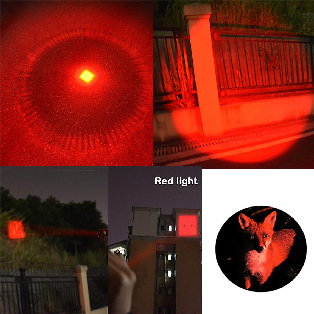 WAYLLSHINE (Pack of 5 Multicolored 3-Mode Flashlight: Red Light Flashlight, Green Light Flashlight, Blue Light Flashlight, 395 UV Light Flashlight, White LED Light Flashlight